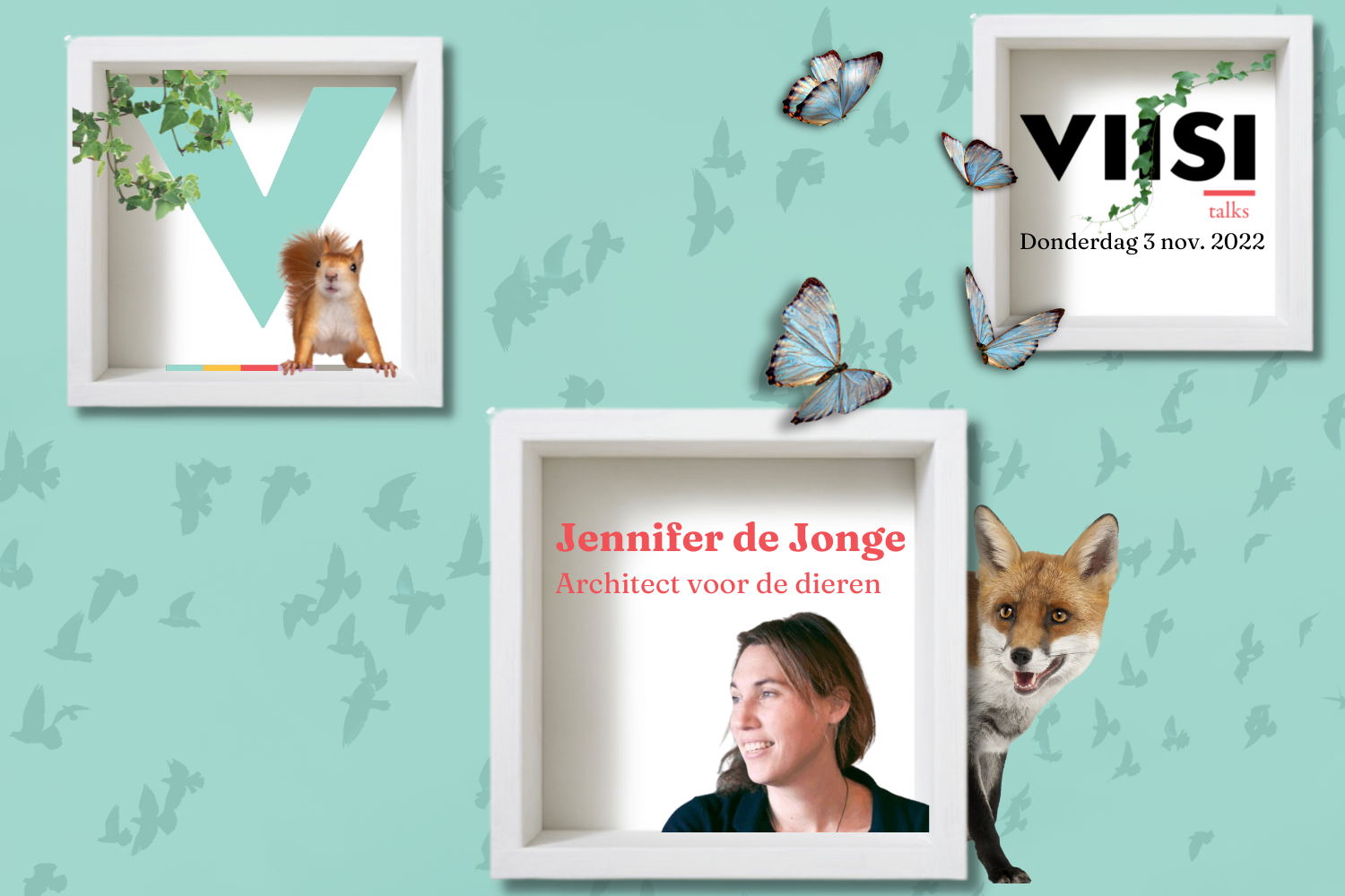 Viisi Talks met dierenarchitect Jennifer de Jonge • Viisi Hypotheken