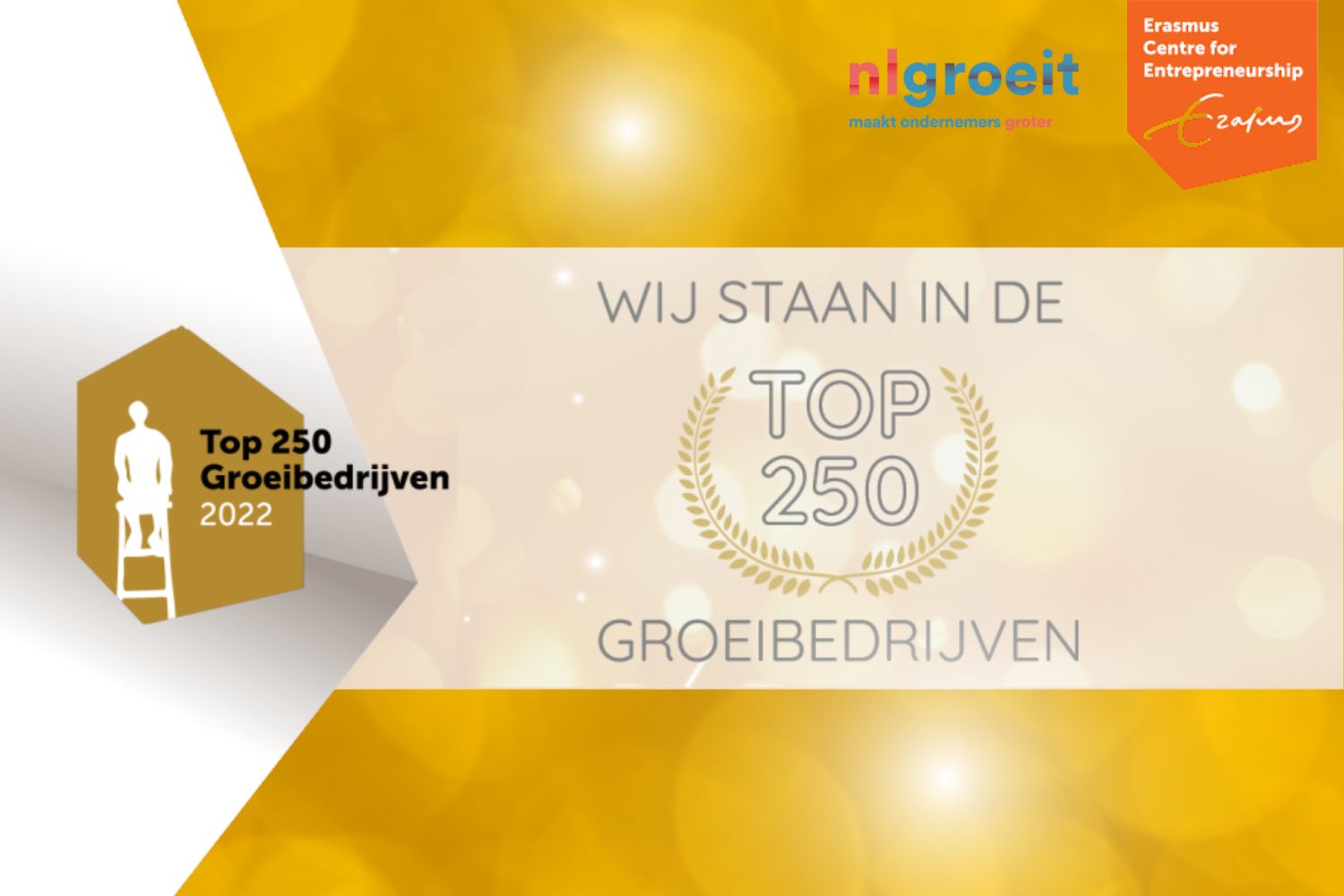 Viisi in de Top-250 Groeibedrijven • Viisi Hypotheken